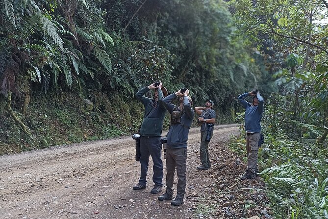 Amazon Jungle Tour 3 Days - Getting to Manu National Park