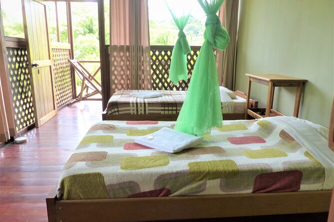 Amazon Jungle Tour 3 Days - What to Expect