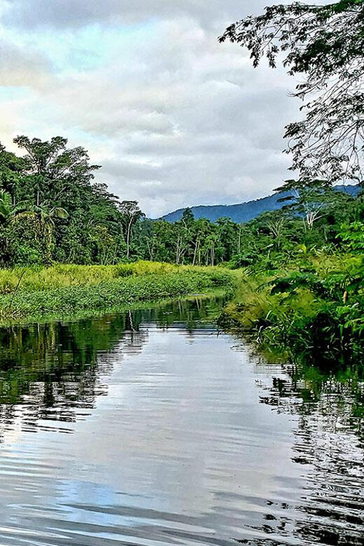 AMAZON MANU CULTURAL ZONE 4 DAYS / 3 NIGHTS - An Overview of the Tour