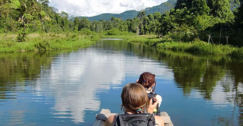 AMAZON TOUR MANU CULTURAL ZONE 3D  2N - Who Will Love This Tour?