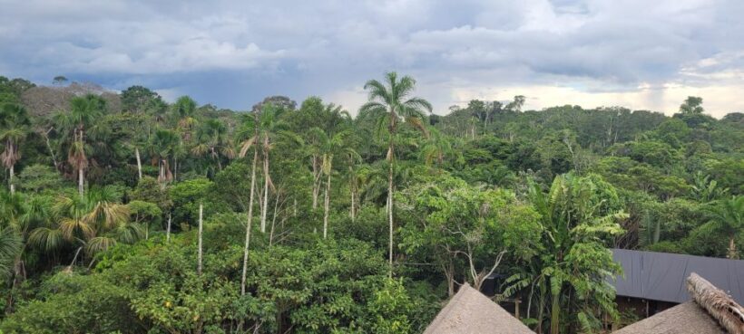 Amazonas Extreme - Day 3: Full Day of Jungle Living