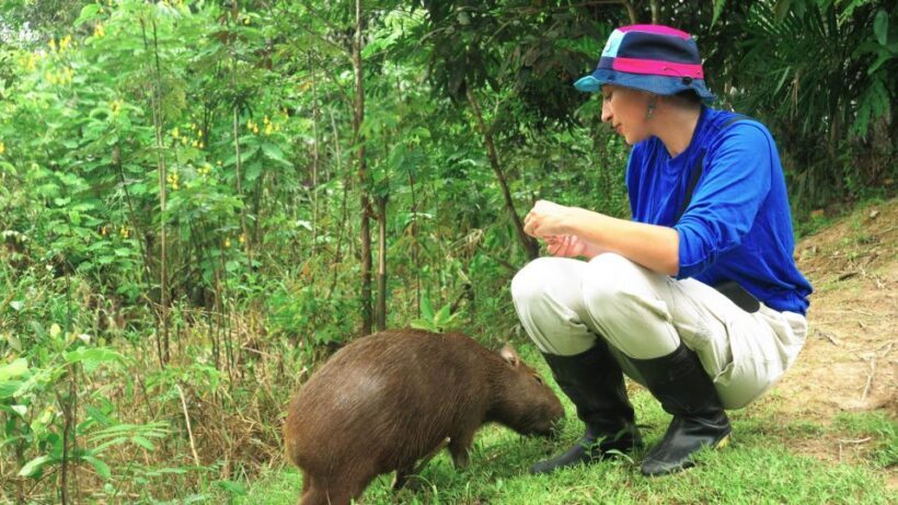 Amazonas Extreme - Day 4: Return and Reflection