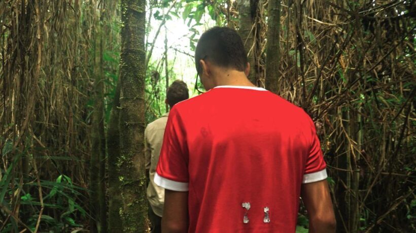 Amazonas Extreme - The Real Value of Amazonas Extreme