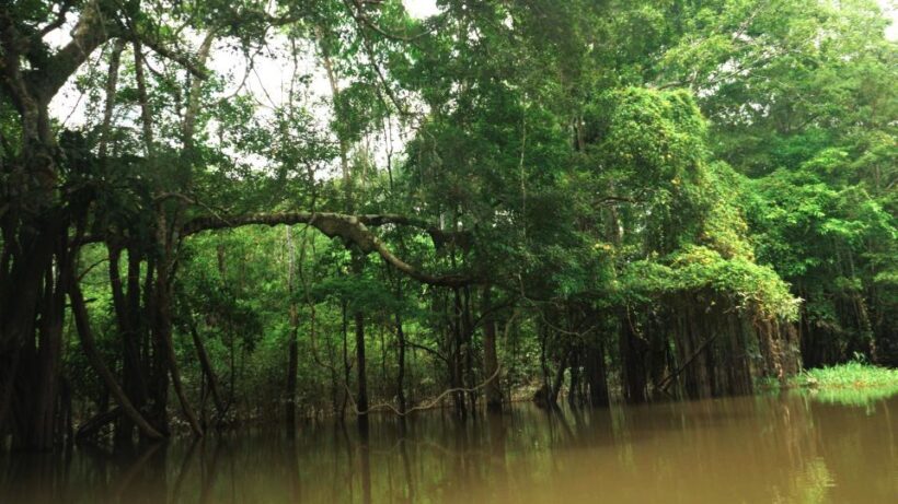 Amazonas Extreme - The Sum Up: Who Will Love This Tour?