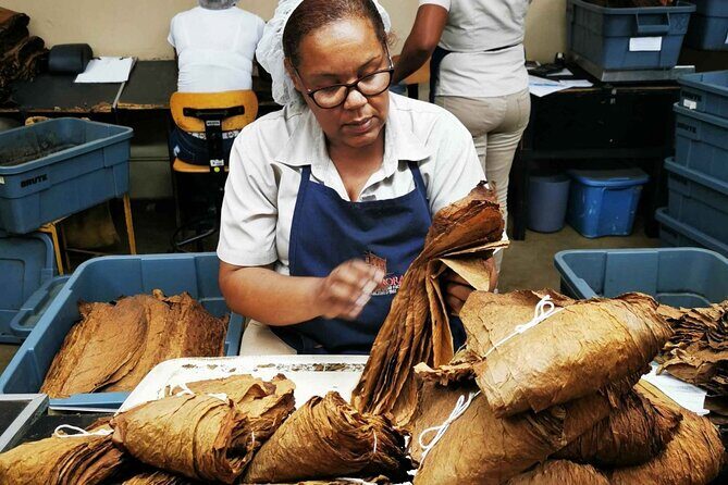 Amber Cove and Taino Bay Puerto Plata City Tour for Group - Final Words