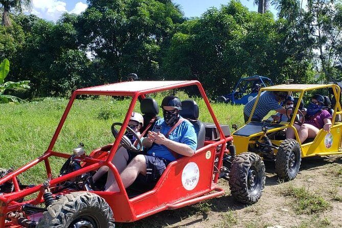 Amber Cove Super Buggys - The Sum Up