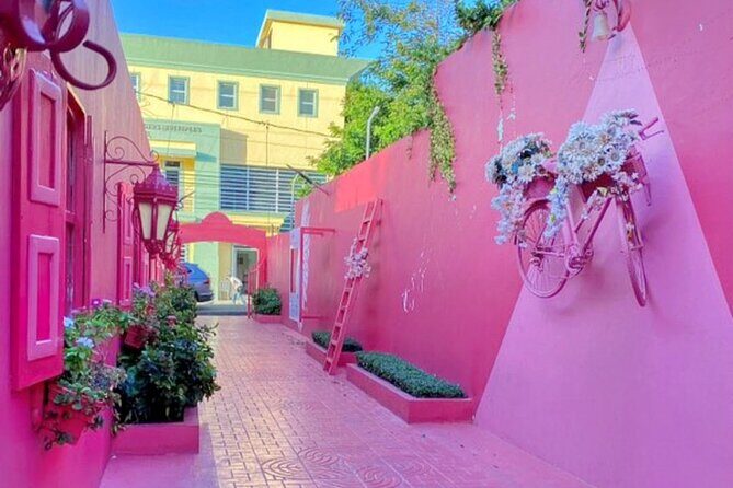 AMBER COVE-TAINO BAY Horses Beach Ride & City Sightseeing - Who Are These Tours Best For?