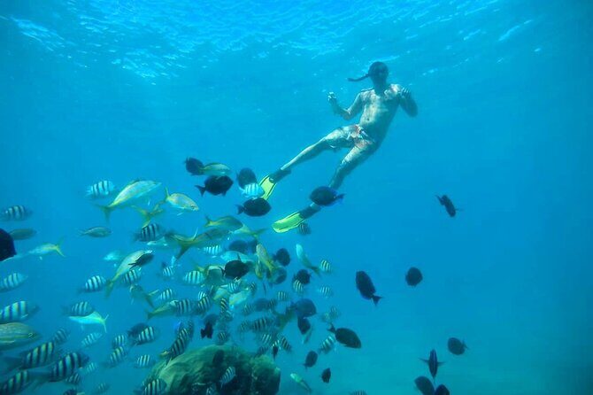 Amber Cove - Taino Bay Party Boat Snorkeling Whit Locale BBQ Tour - FAQs