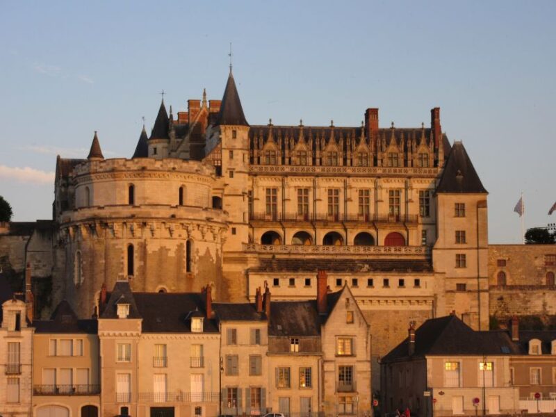 Amboise: Private Guided Tour of the Castle with Entry Ticket - Who Will Love This Tour?