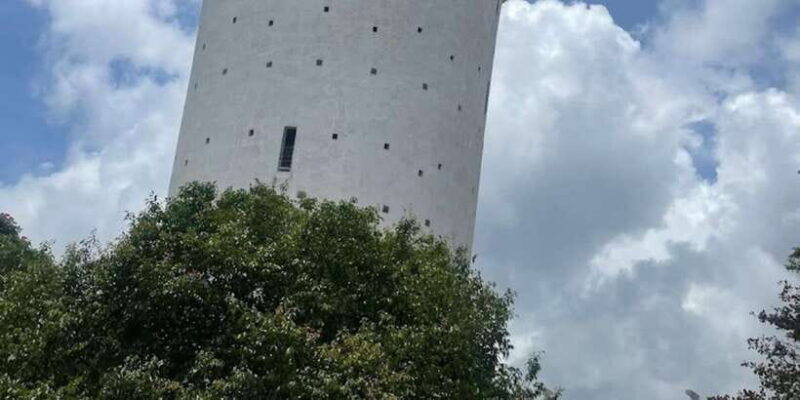 Ambuluwawa Tower & Pinnawala & Kandy Day Tour From Colombo - The Sum Up