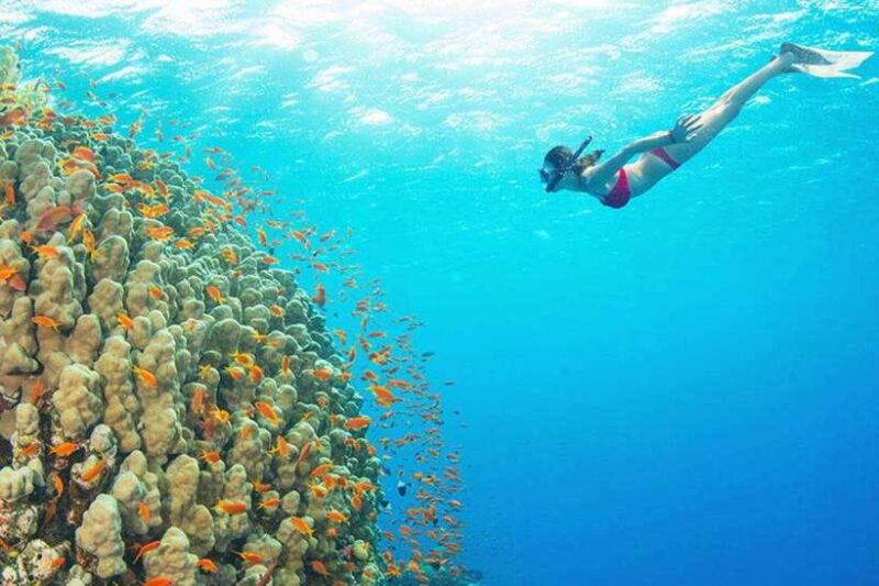 Amed: Snorkeling Tour with Japanese Shipwreck and Coral - Practical Details and Tips