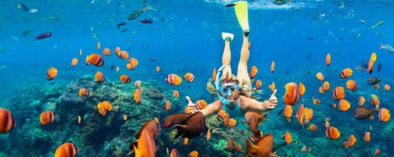 Amed: Snorkeling Tour with Japanese Shipwreck and Coral - FAQ