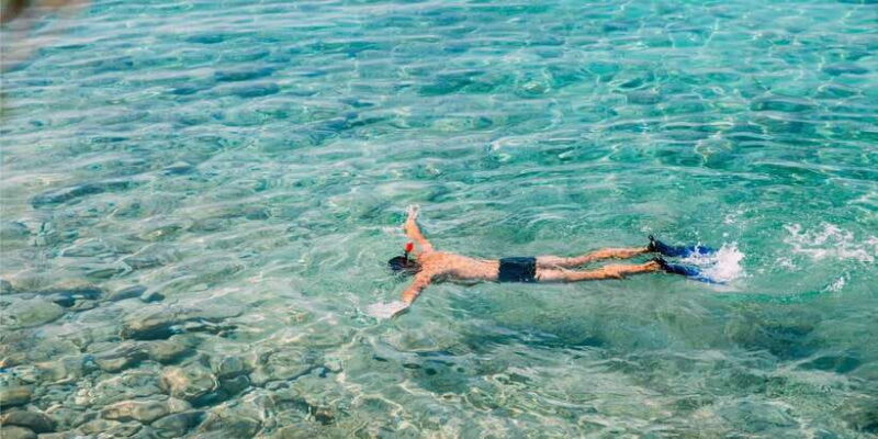 Amed: Snorkeling Trip to the Japanese Shipwreck - Insights from Travelers’ Reviews