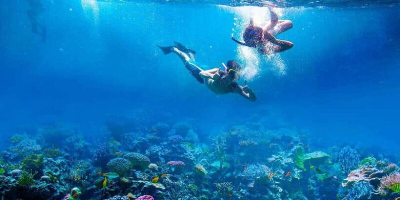 Amed: Tirta Gangga, Jemeluk Bay, & Virgin Beach Day Trip - Tirta Gangga Water Palace: A Regal Introduction to East Bali