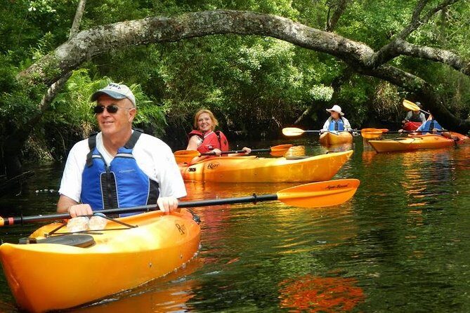 Amelia Island Area Kayak Rental on Lofton Creek with Adventures Up The Creek - A Balanced Look at the Kayak Rental Experience