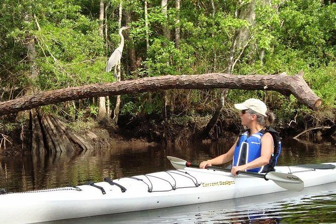 Amelia Island Area Kayak Rental on Lofton Creek with Adventures Up The Creek - The Reviews Speak for Themselves