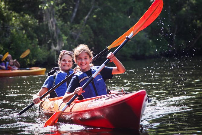 Amelia Island Guided Kayak Tour of Lofton Creek - Key Points