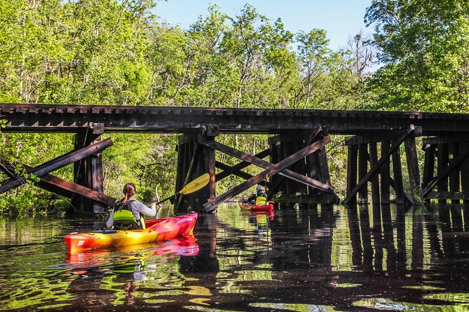 Amelia Island Guided Kayak Tour of Lofton Creek - Guides and Group Experience