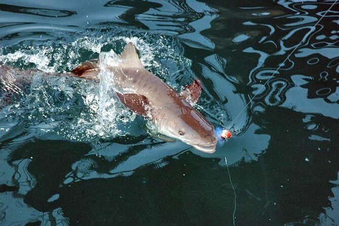 Amelia Island Inshore Fishing Charter - Who Should Consider This Tour?