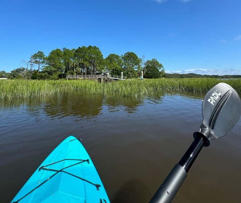 Amelia Island: Paddle Board or Kayak Rental - PADL Island - Why This Experience Matters