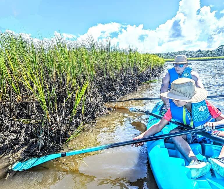 Amelia Island: Paddle Board or Kayak Rental - PADL Island - Why Book This?