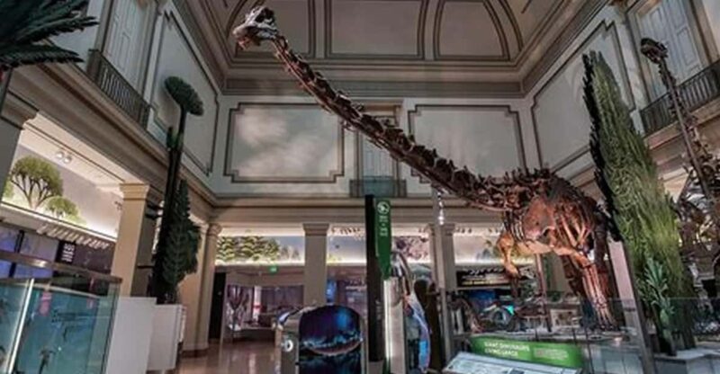 American History/Natural History Museum Combo Guided Tour - Analyzing the Value