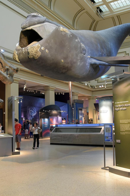 American History/Natural History Museum Combo Guided Tour - FAQ