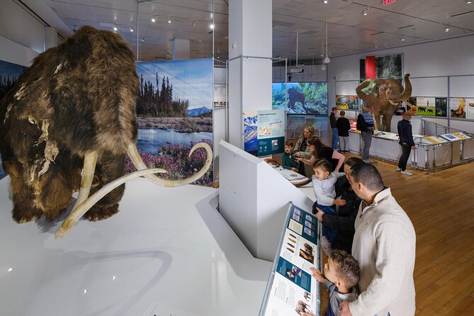 American Museum of Natural History Admission Ticket - Exploring the Museum: What You Can Expect