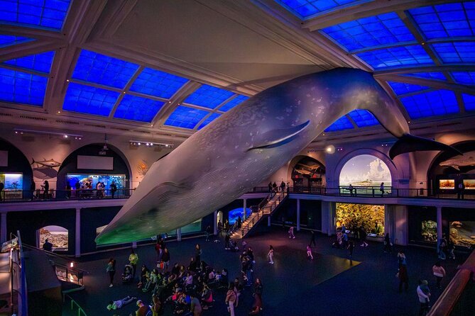 American Museum of Natural History Admission Ticket - The Experience: Pros and Cons