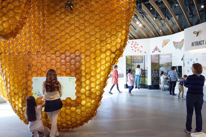 American Museum of Natural History Admission Ticket - FAQ