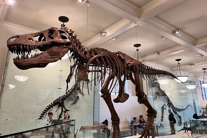 American Museum of Natural History and MOMA Combo Tickets - Final Thoughts
