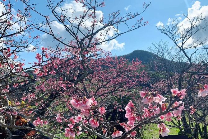 American Village &Okinawa Churaumi Aquarium Tour From Naha/Chatan - Meeting and Pickup