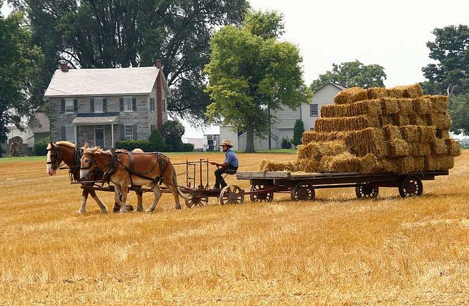 Amish Experience SuperSaver Package - An In-Depth Look at the Amish Experience SuperSaver Package