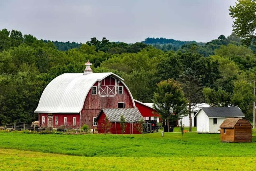 Amish Farm and House 1-Day Tour From Washington D.C. - An In-Depth Look at the Amish Farm and House Tour
