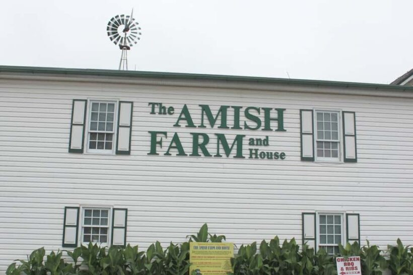 Amish Farm and House 1-Day Tour From Washington D.C. - Who Should Consider This Tour?