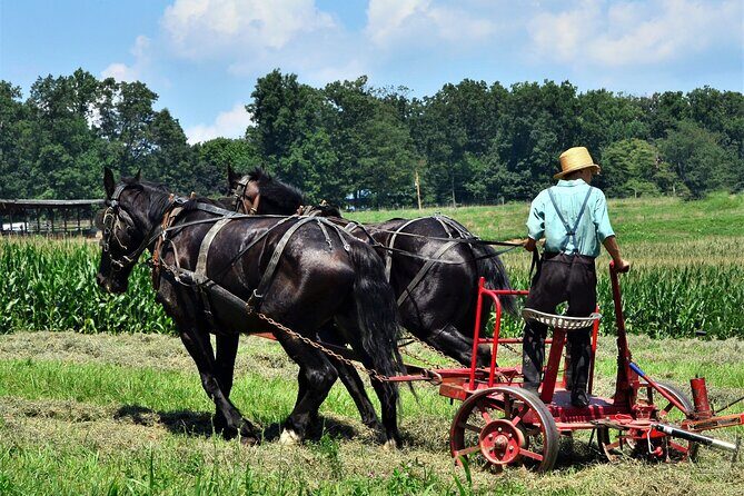 Amish Farmlands Tour - What to Expect During the Tour