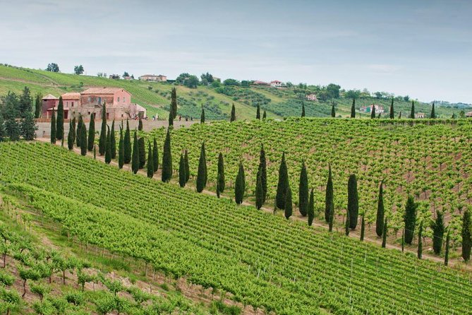 Among ancient sunny vineyards, visit and taste the wines from the San Lorenzo cellar - Key Points