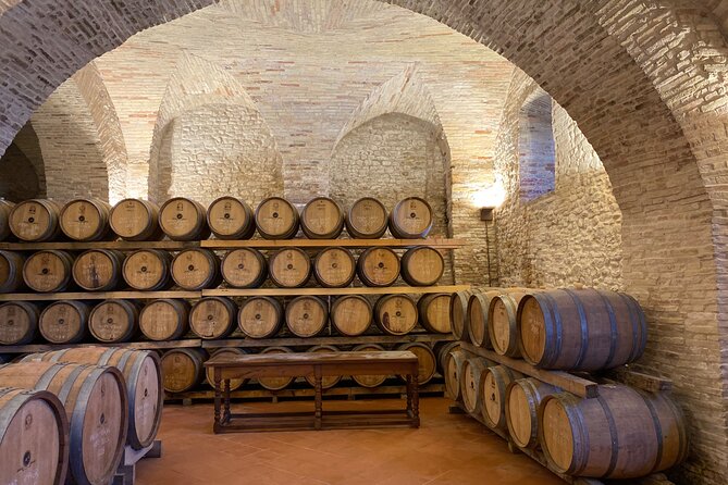 Among ancient sunny vineyards, visit and taste the wines from the San Lorenzo cellar - What Makes This Tour Special?