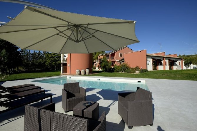 Among ancient sunny vineyards, visit and taste the wines from the San Lorenzo cellar - The Wines and Tasting Experience