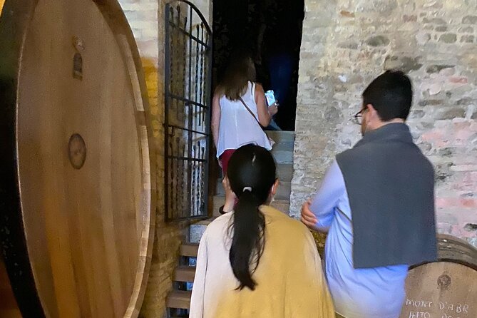 Among ancient sunny vineyards, visit and taste the wines from the San Lorenzo cellar - Practical Considerations