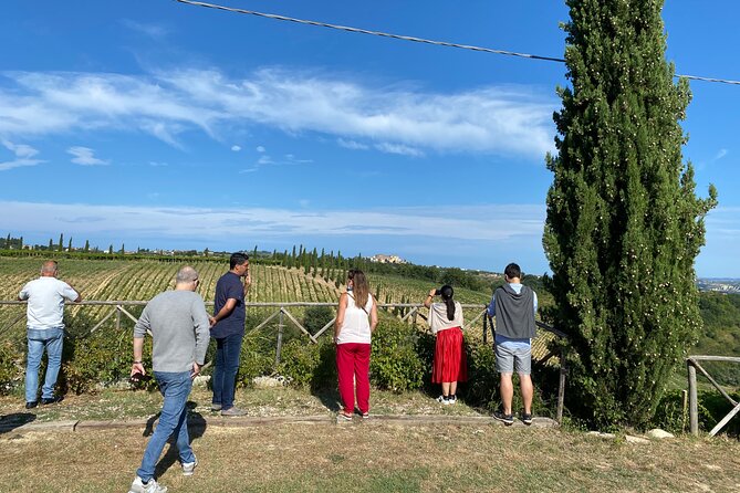 Among ancient sunny vineyards, visit and taste the wines from the San Lorenzo cellar - The Experience’s Drawbacks and Challenges