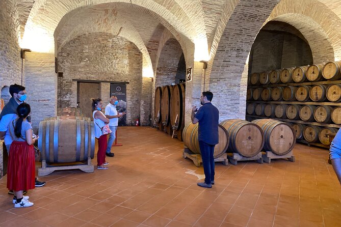 Among ancient sunny vineyards, visit and taste the wines from the San Lorenzo cellar - Final Thoughts: Is It Worth It?