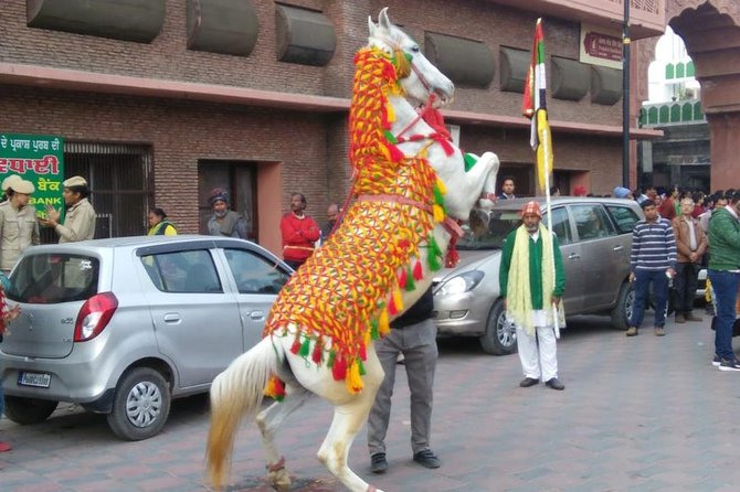 Amritsar City Tour ( EXCLUDING WAGAH BORDER) - What We Think About the Experience