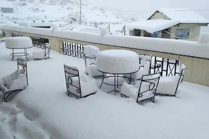 Amritsar Dalhousie Dharamshala 6 Days Tour - Day-by-Day Breakdown and What to Expect