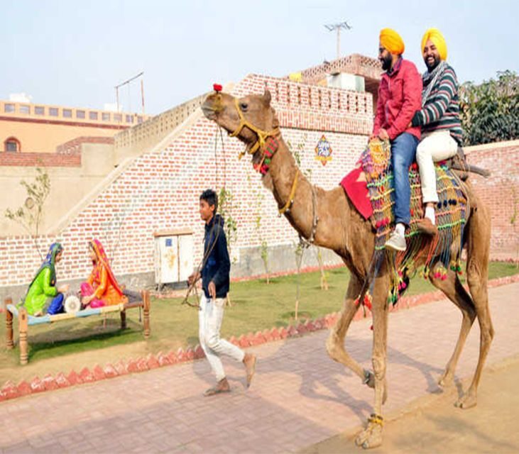 Amritsar: Evening Tour to Sadda Pind with Dinner - A Closer Look at the Tour Experience