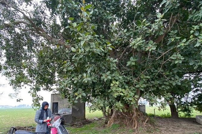 Amritsar Full Day Tour with Wagah Border (Travelers Choice ) - Why This Tour is a Great Choice