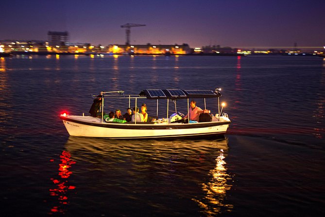 Amsterdam 90-Min Private Canal Cruise With Live Guide and Drinks - Relaxing Atmosphere and Beautiful Scenery