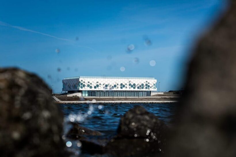 Amsterdam: Afsluitdijk and Wadden Center Museum Private Tour - Who Will Love This Tour?