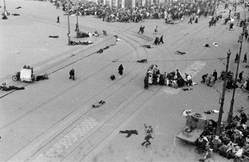 Amsterdam: Anna Frank and World War II History Walking Tour - Key Points