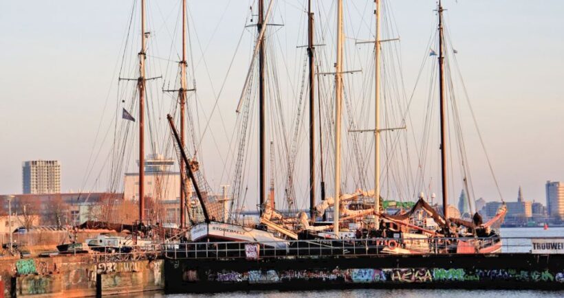 Amsterdam: Bike Tour (Noord) in German or English - The Detailed Itinerary Breakdown
